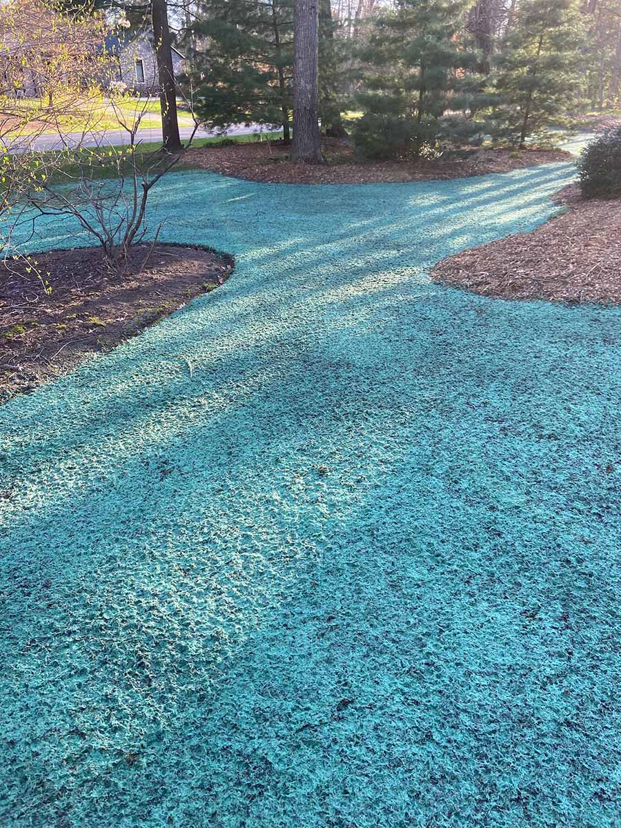 What Is Hydroseeding? How It Works and Why It’s Worth It